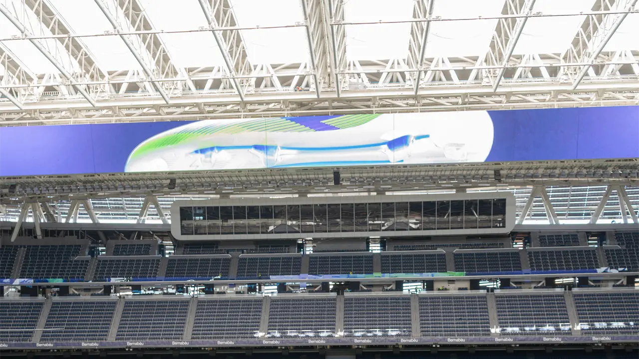 EL LOBO NECESITA UN CONEJO. | Tus Buenas Noticias