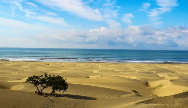 Cuidemos las Áreas naturales protegidas del Estado de Sinaloa | Tus ...
